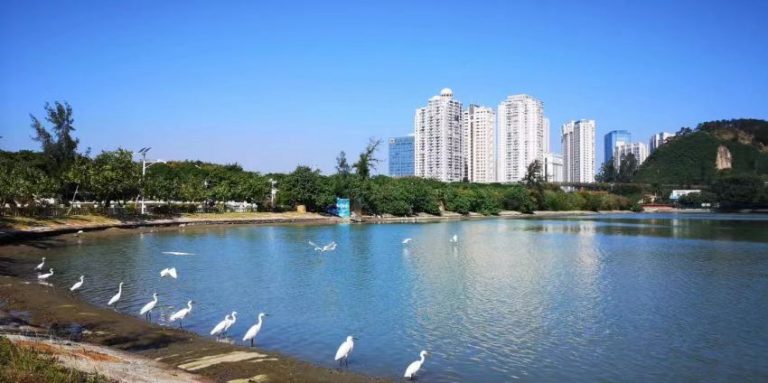 厦門（アモイ）の筼筜（ユンダン）湖展示、「2025年大阪・関西万博」の中国館で「Chinese Practice」の魅力を披露 - 中国経済 ...